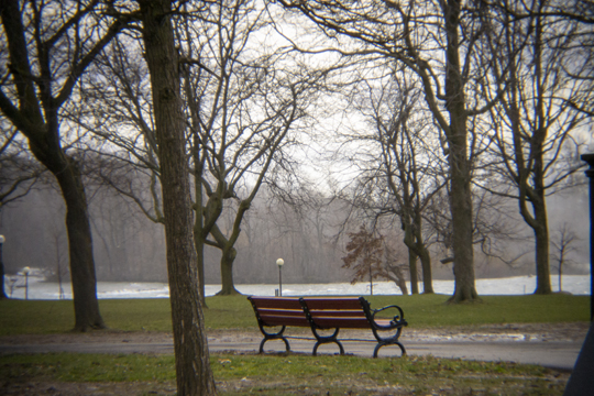 Exploring Prospect Point | laurachenault.com
