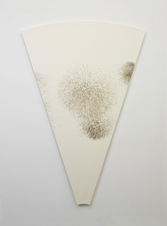 Tree Drawings Tim Knowles | laurachenault.com