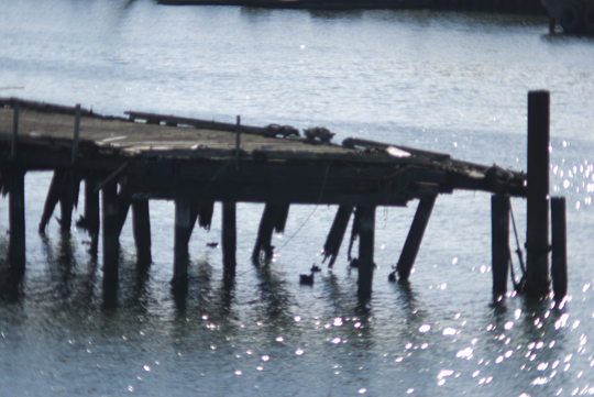 Exploring Union Point Park | laurachenault.com