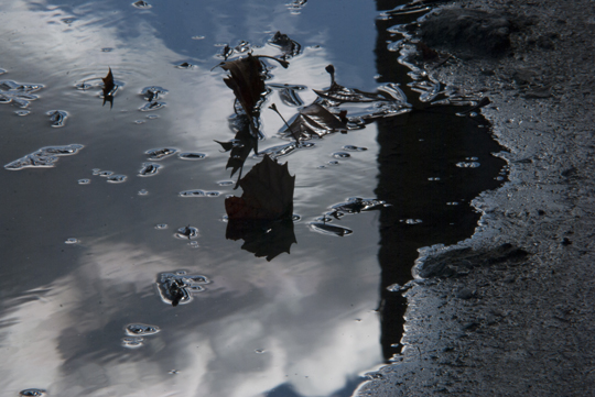 Exploring Union Point Park | laurachenault.com