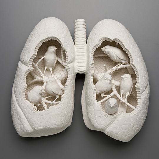 Ceramics by Kate MacDowell | laurachenault.com